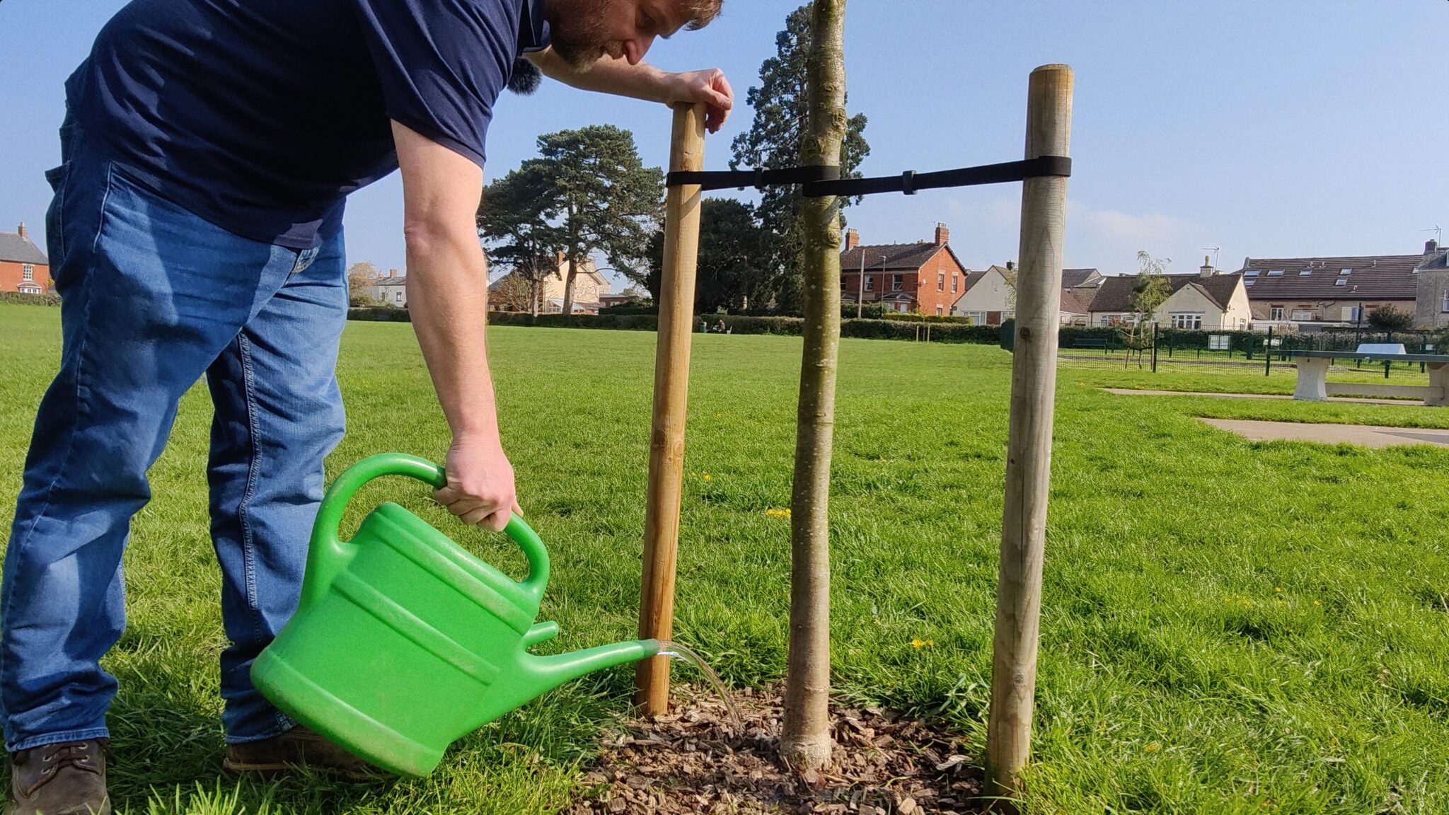Take climate action by watering your street trees, campaign asks - The Icon